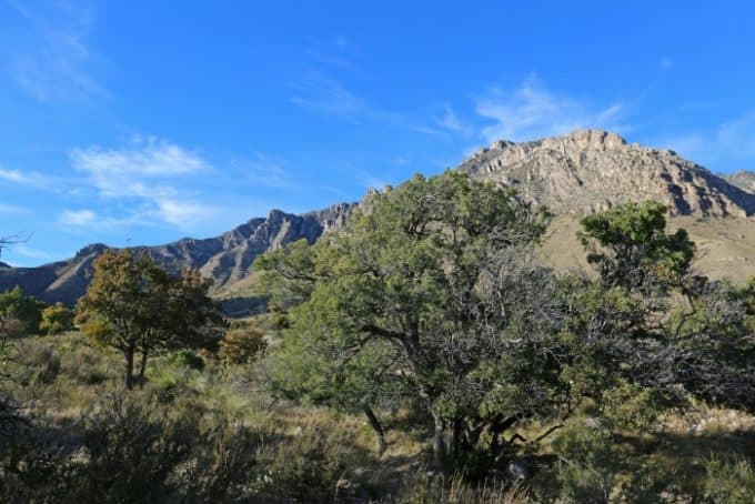 Guadalupe Mountains National Park | Park Ranger John