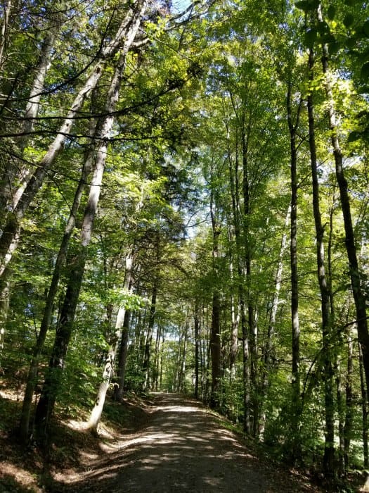 Marsh Billings Rockefeller National Historical Park | Park Ranger John