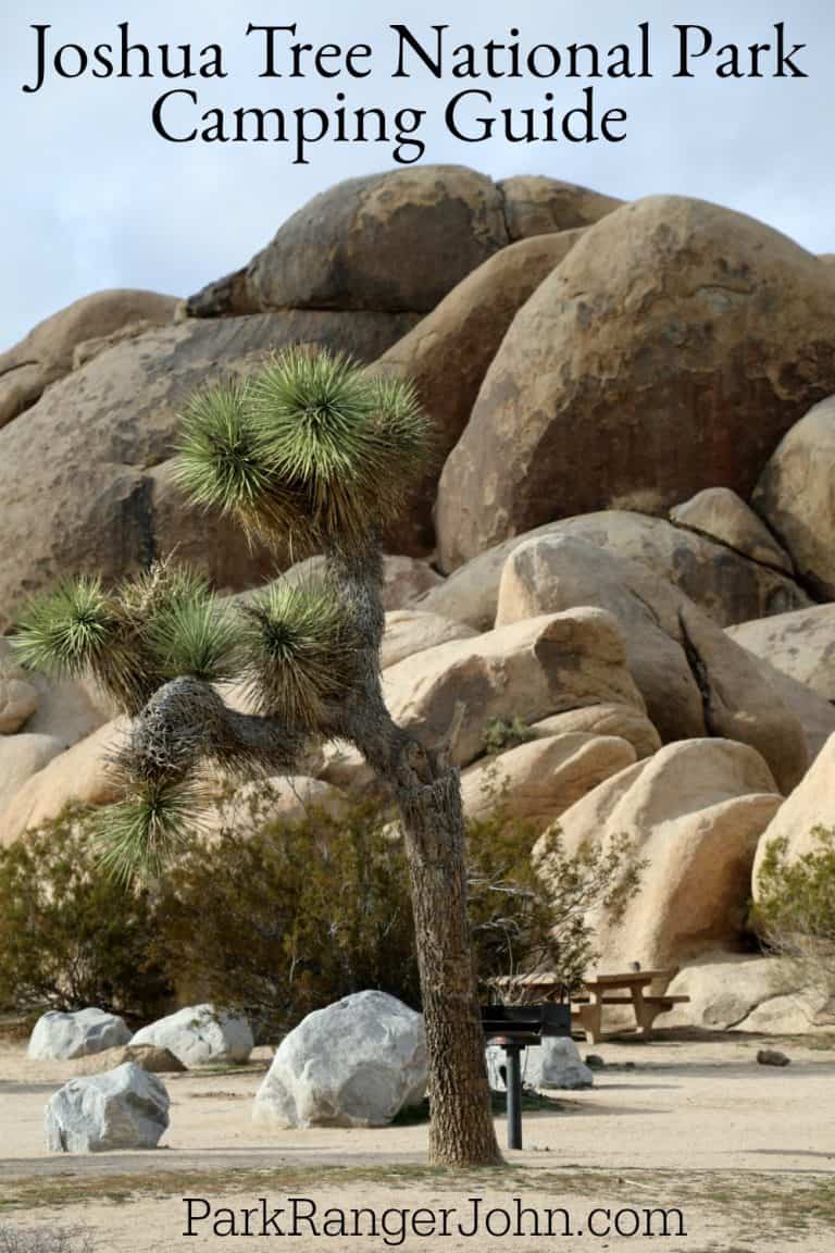 Ultimate Joshua Tree Camping Guide | Park Ranger John