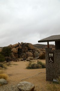 Sheep Pass Group Campground - Joshua Tree National Park | Park Ranger John