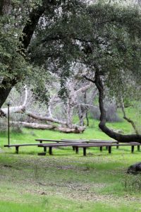 Potwisha Campground - Sequoia National Park | Park Ranger John