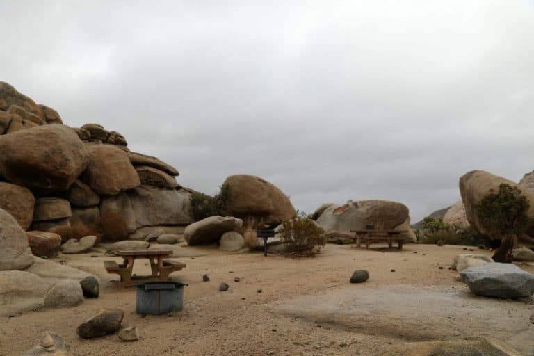 Ryan Campground - Joshua Tree National Park | Park Ranger John