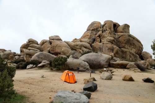 Ryan Campground - Joshua Tree National Park | Park Ranger John