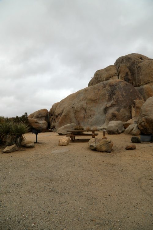 Ryan Campground - Joshua Tree National Park | Park Ranger John