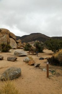 Ryan Campground - Joshua Tree National Park | Park Ranger John