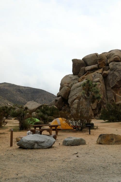 Ryan Campground - Joshua Tree National Park | Park Ranger John