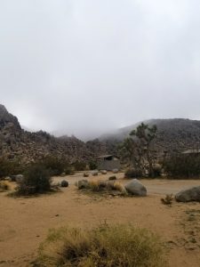 Sheep Pass Group Campground - Joshua Tree National Park | Park Ranger John