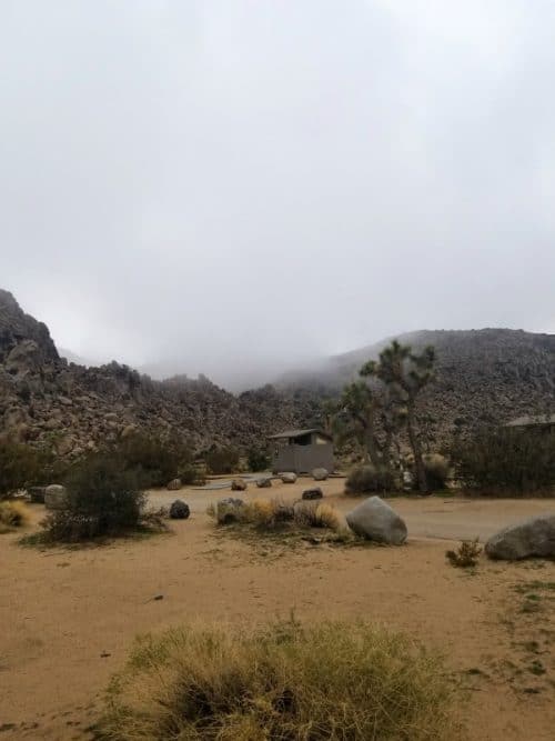 Sheep Pass Group Campground - Joshua Tree National Park | Park Ranger John