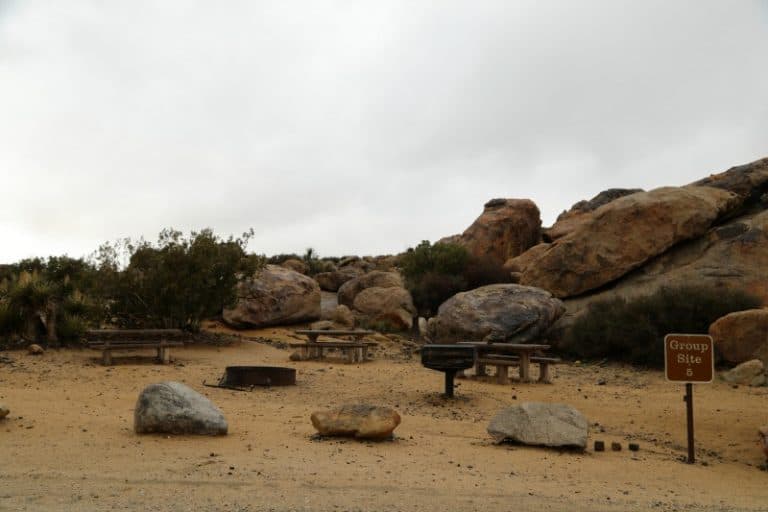 Sheep Pass Group Campground - Joshua Tree National Park | Park Ranger John