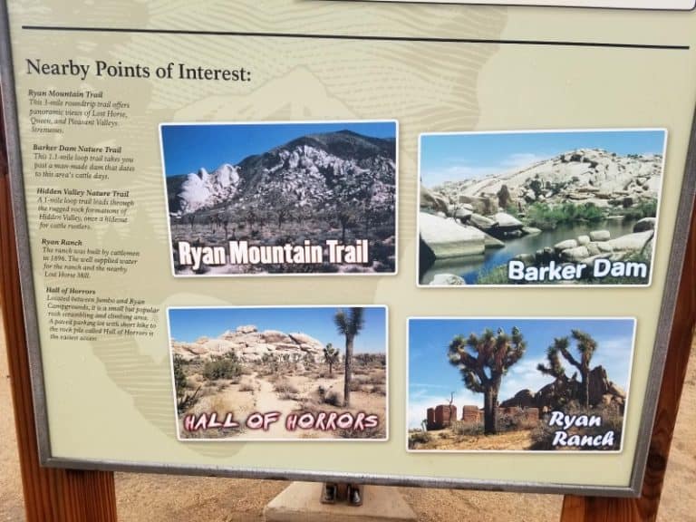 Sheep Pass Group Campground - Joshua Tree National Park | Park Ranger John