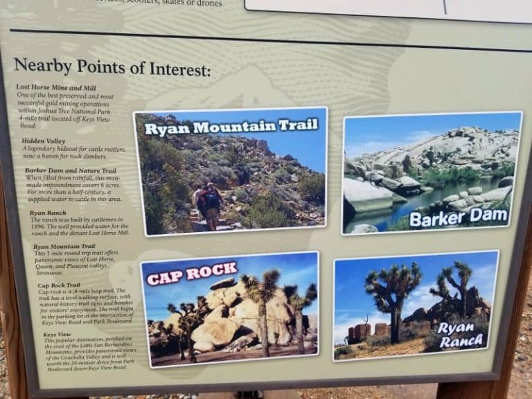 Ryan Campground - Joshua Tree National Park | Park Ranger John