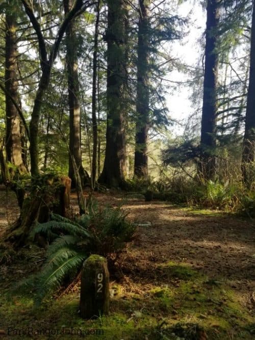 Mora Campground - Olympic National Park | Park Ranger John
