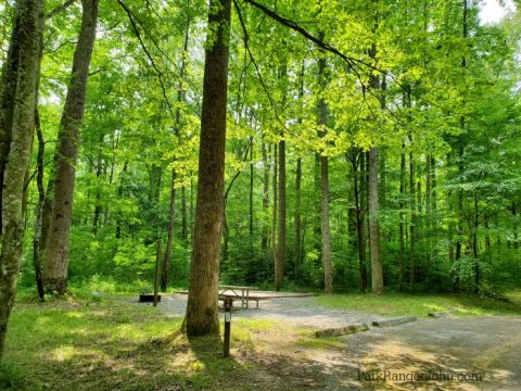 Elkmont Campground - Great Smoky Mountains National Park | Park Ranger John