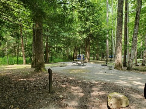 Elkmont Campground - Great Smoky Mountains National Park | Park Ranger John
