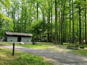 Elkmont Campground - Great Smoky Mountains National Park | Park Ranger John