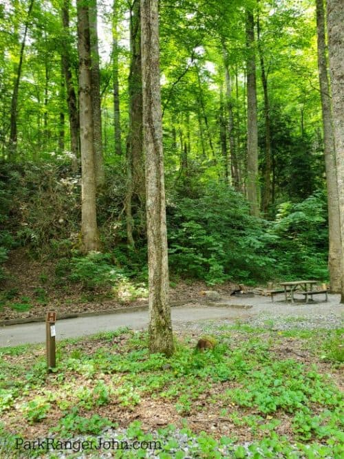 Elkmont Campground - Great Smoky Mountains National Park | Park Ranger John