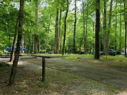 Elkmont Campground - Great Smoky Mountains National Park | Park Ranger John