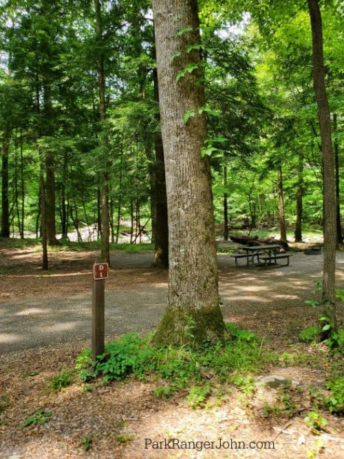 Elkmont Campground - Great Smoky Mountains National Park | Park Ranger John