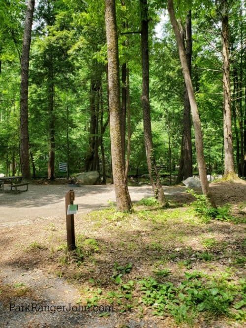 Elkmont Campground - Great Smoky Mountains National Park | Park Ranger John