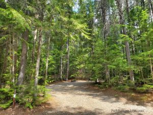 Fish Creek Campground - Glacier National Park | Park Ranger John