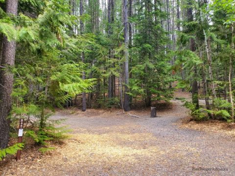 Fish Creek Campground - Glacier National Park | Park Ranger John