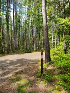 Fish Creek Campground - Glacier National Park | Park Ranger John