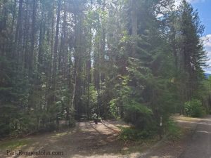 Fish Creek Campground - Glacier National Park | Park Ranger John
