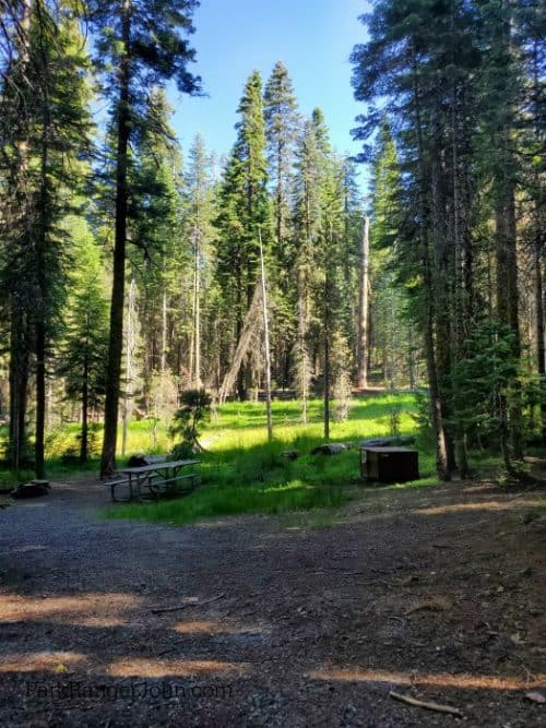 Crane Flat Campground - Yosemite National Park | Park Ranger John