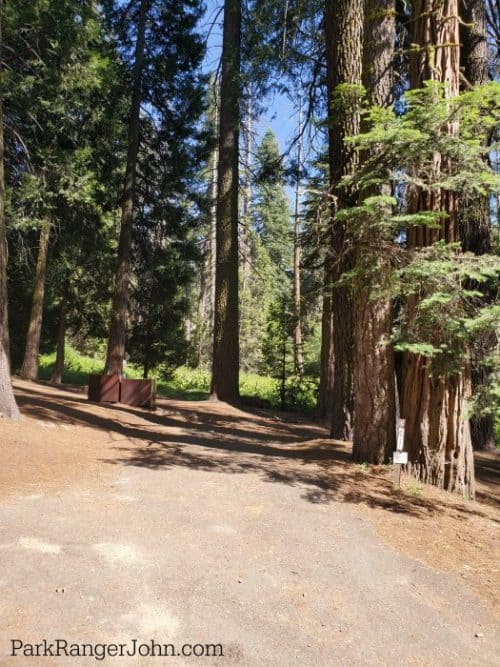 Crystal Springs Campground - Kings Canyon National Park | Park Ranger John