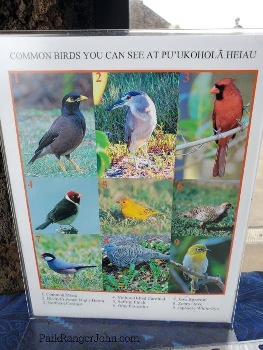 Pu`ukoholā Heiau National Historic Site - Hawaii | Park Ranger John
