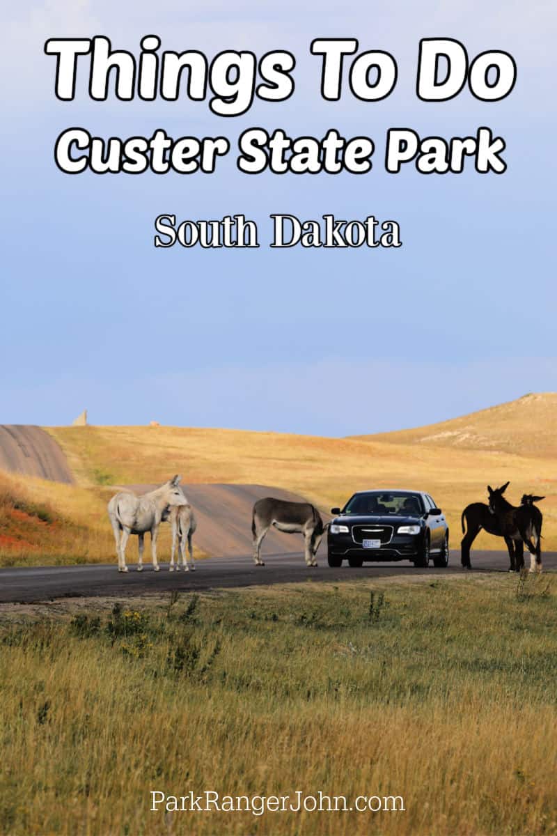 Things to do Custer State Park | Park Ranger John