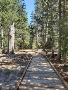 The Sierra Vista Scenic Byway- A Hidden Gem in plain sight! | Park ...