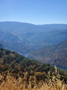 The Sierra Vista Scenic Byway- A Hidden Gem in plain sight! | Park ...