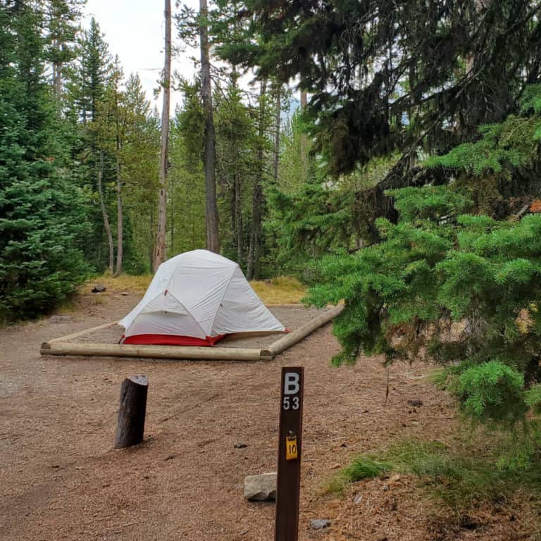 Lewis Lake Campground - Yellowstone National Park | Park Ranger John