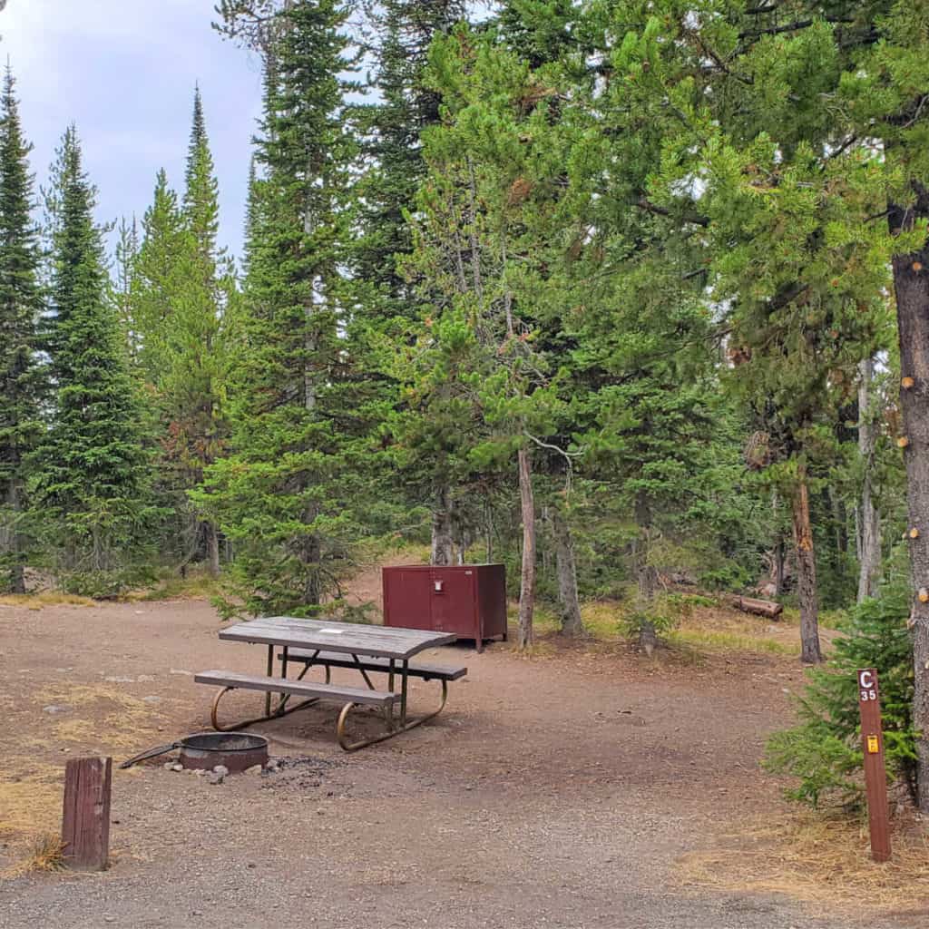Lewis Lake Campground - Yellowstone National Park | Park Ranger John
