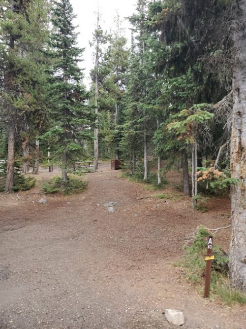 Lewis Lake Campground - Yellowstone National Park | Park Ranger John