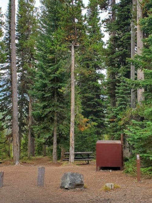 Lewis Lake Campground - Yellowstone National Park | Park Ranger John