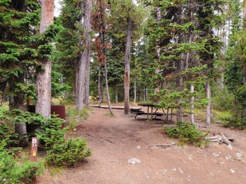 Lewis Lake Campground - Yellowstone National Park | Park Ranger John