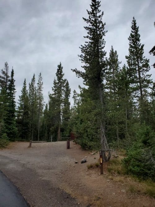 Lewis Lake Campground - Yellowstone National Park | Park Ranger John