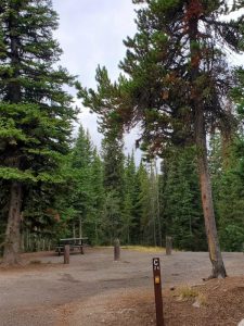 Lewis Lake Campground - Yellowstone National Park | Park Ranger John