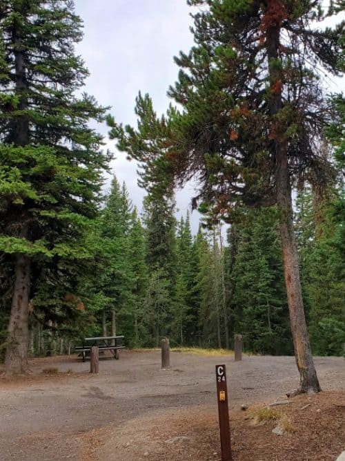 Lewis Lake Campground - Yellowstone National Park | Park Ranger John