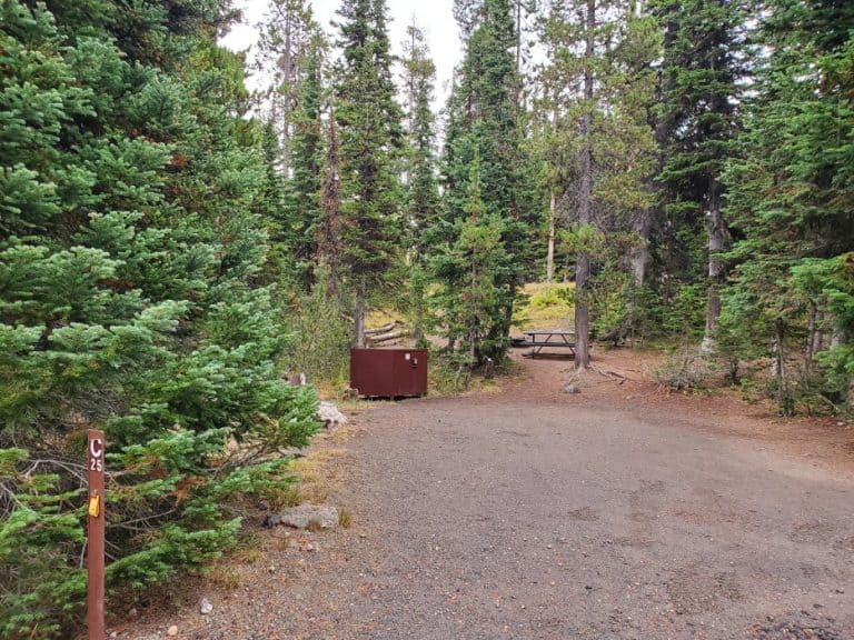 Lewis Lake Campground - Yellowstone National Park | Park Ranger John