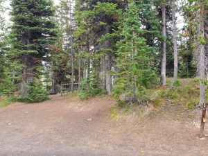 Lewis Lake Campground - Yellowstone National Park | Park Ranger John