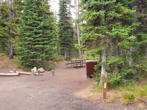Lewis Lake Campground - Yellowstone National Park | Park Ranger John