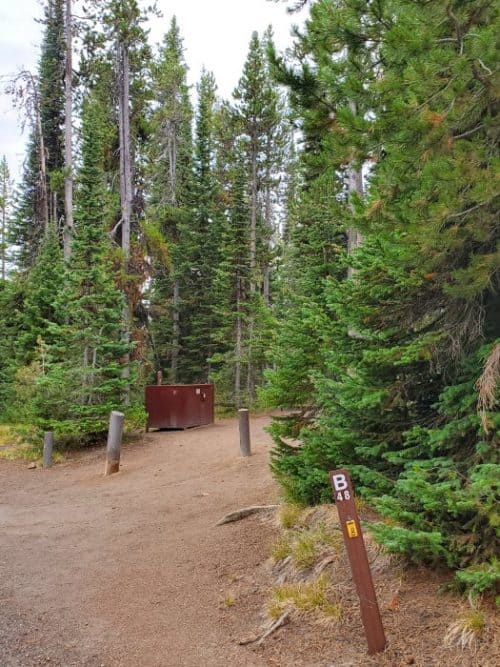 Lewis Lake Campground - Yellowstone National Park | Park Ranger John