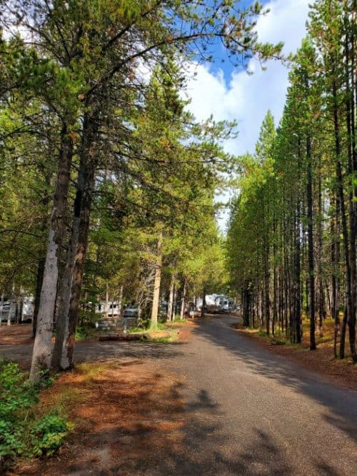Colter Bay Village RV Park - Grand Teton National Park | Park Ranger John