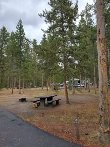 Madison Campground - Yellowstone National Park {Video} | Park Ranger John