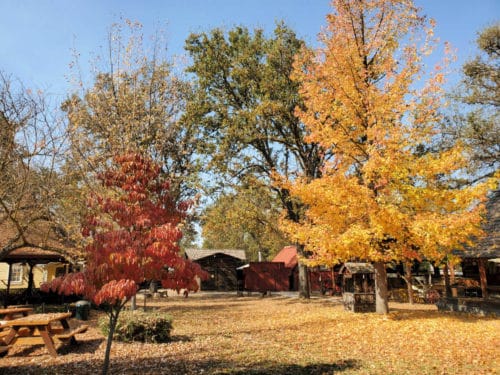 Oakhurst, California the Southern Entrance to Yosemite | Park Ranger John