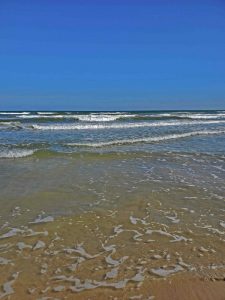 Padre Island National Seashore | Park Ranger John