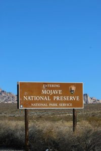 Guide to Exploring Mojave National Preserve | Park Ranger John